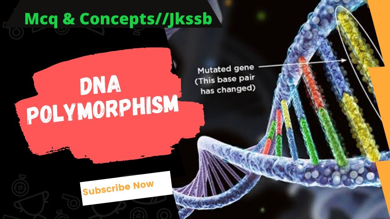DNA Polymorphism Mcq And Concept //Jkssb//Fisheries Exam - YouTube