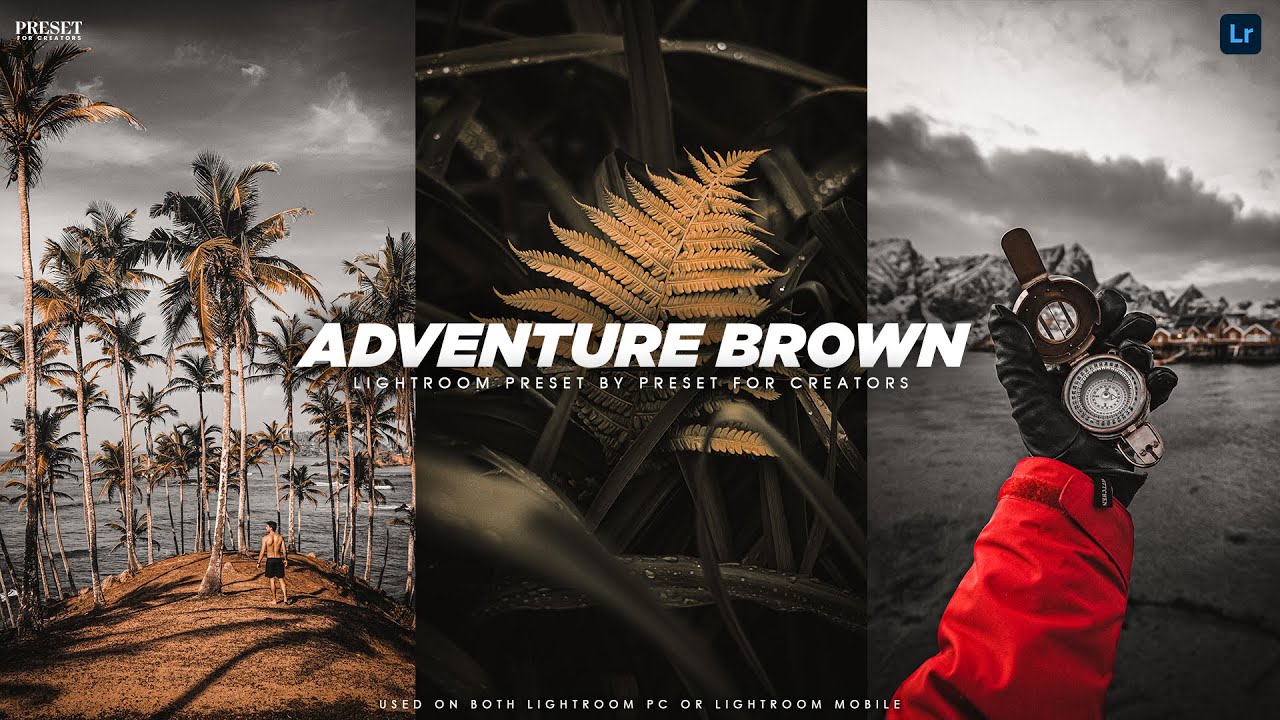 Adventure Brown Preset for Lightroom | FREE DNG FILE | Preset for ...