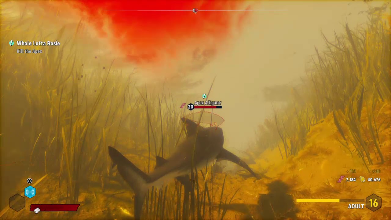 Maneater PS4 Gameplay : Apex Alligator - YouTube