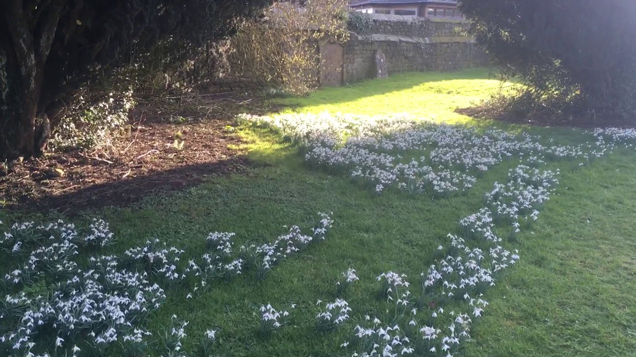 The “Snowdrop town of Shaftesbury in North Dorset England by ...