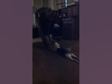 Real life Family Guy Herbert's dog Jesse - YouTube