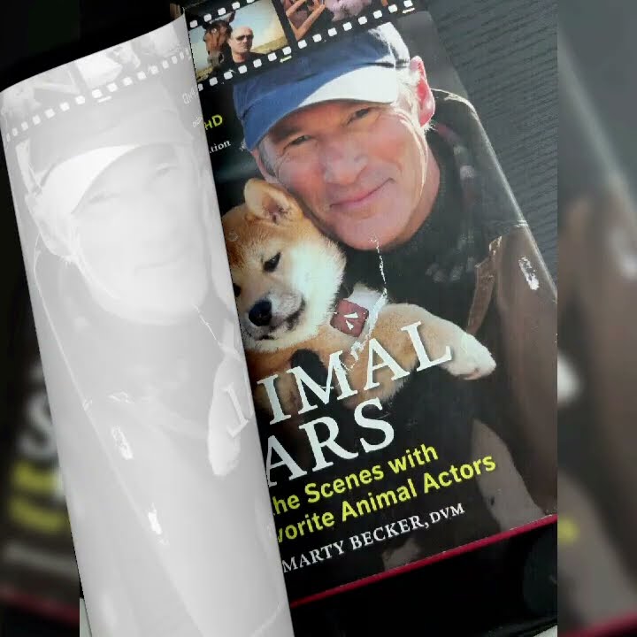 Episode 9 Season 6 - Animal Stars - YouTube