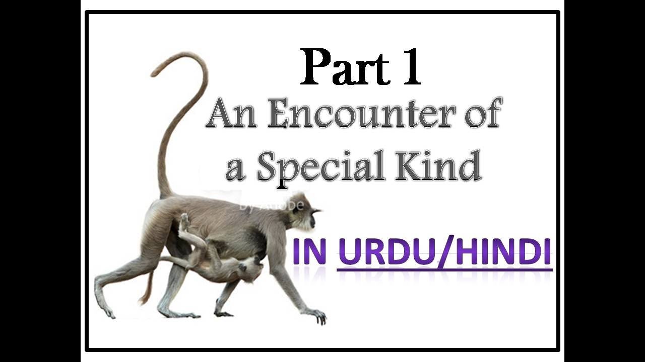Part 1 An Encounter Of A Special Kind Class 10th Chapter 1 2 In part-1-an-encounter-of-a-special-kind-class-10th-chapter-1-2-in