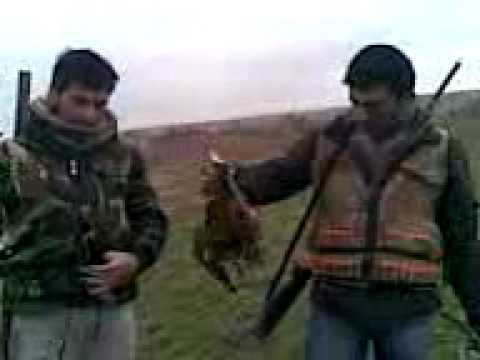 Polatli yesiloz koyu mustafa eyup av2.3gp