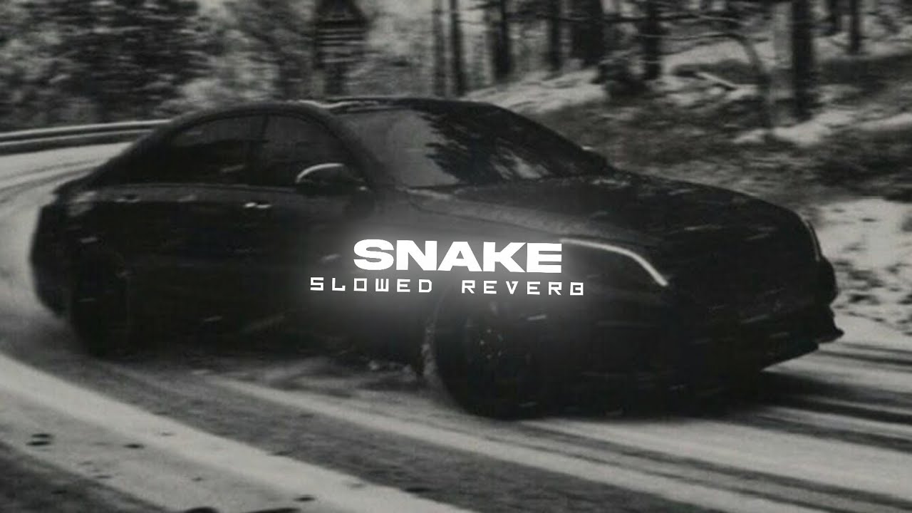 SNAKE | SLOWED & REVERB - CHEEMA Y - GUR SIDHU _ HUSSAIN GHAFARI - YouTube