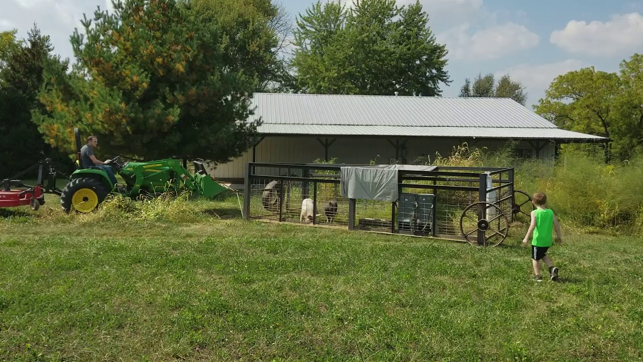 Pig Tractor - YouTube