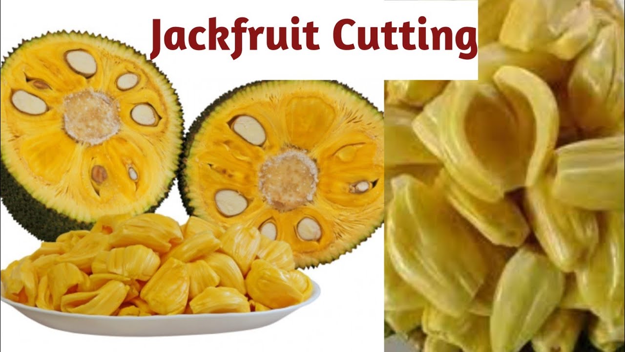 Jackfruit cutting | Jackfruit Cutting Skills | How to cut a jackfruit ...