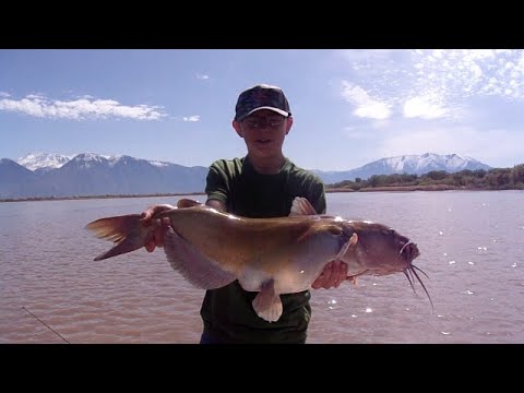 12 lb channel catfish caught at Utah lake 2019. - YouTube