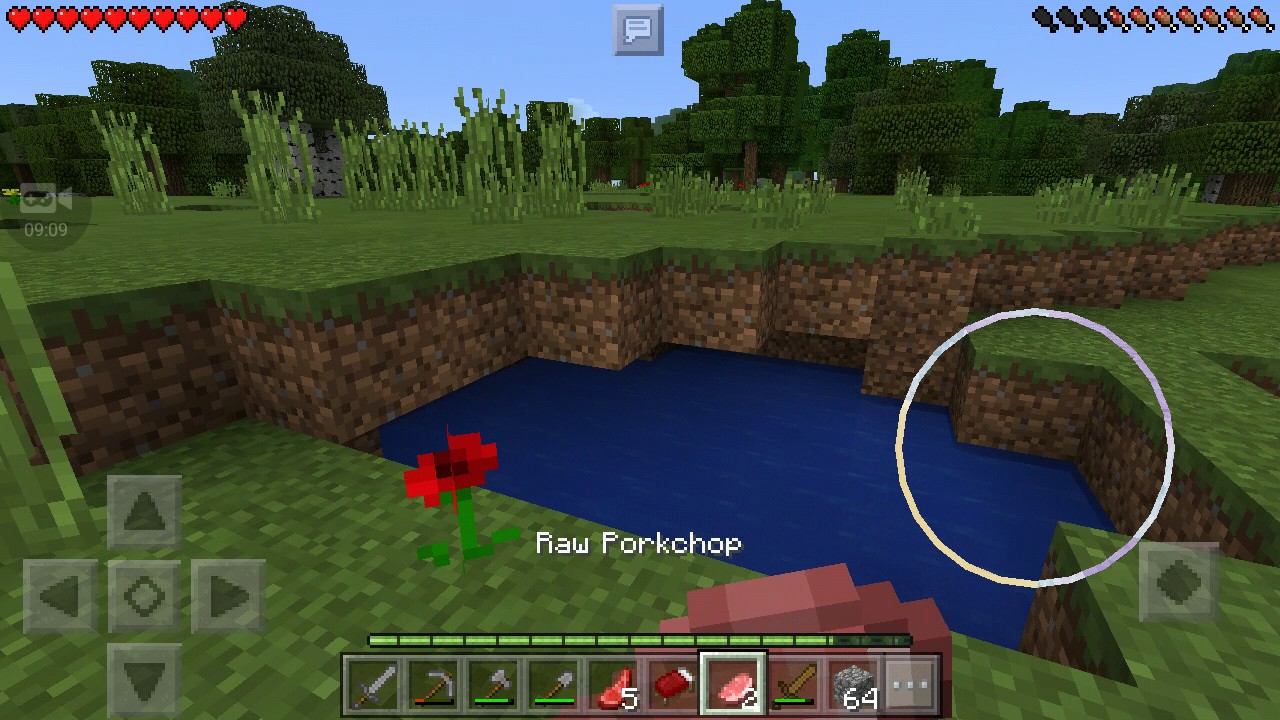 MY MINECRAFT SURVIVAL WORLD SKELETON NOISE?!?! - YouTube