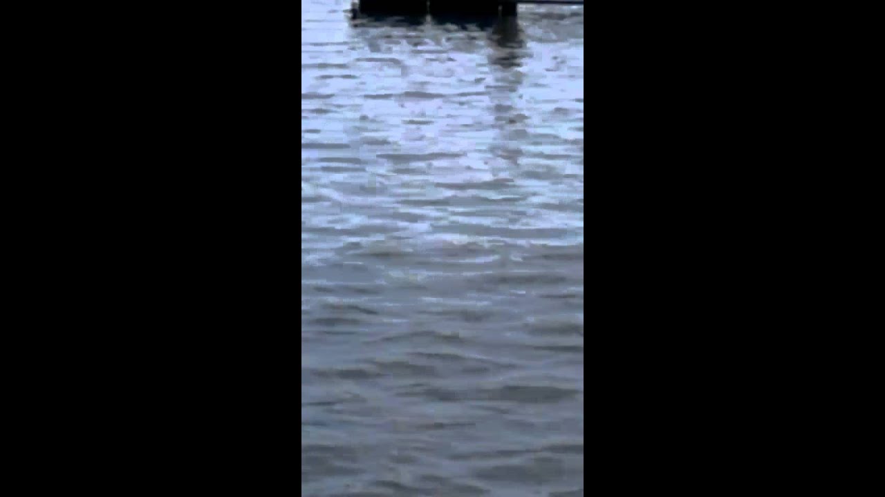 Boat ramp blooper 1 - YouTube