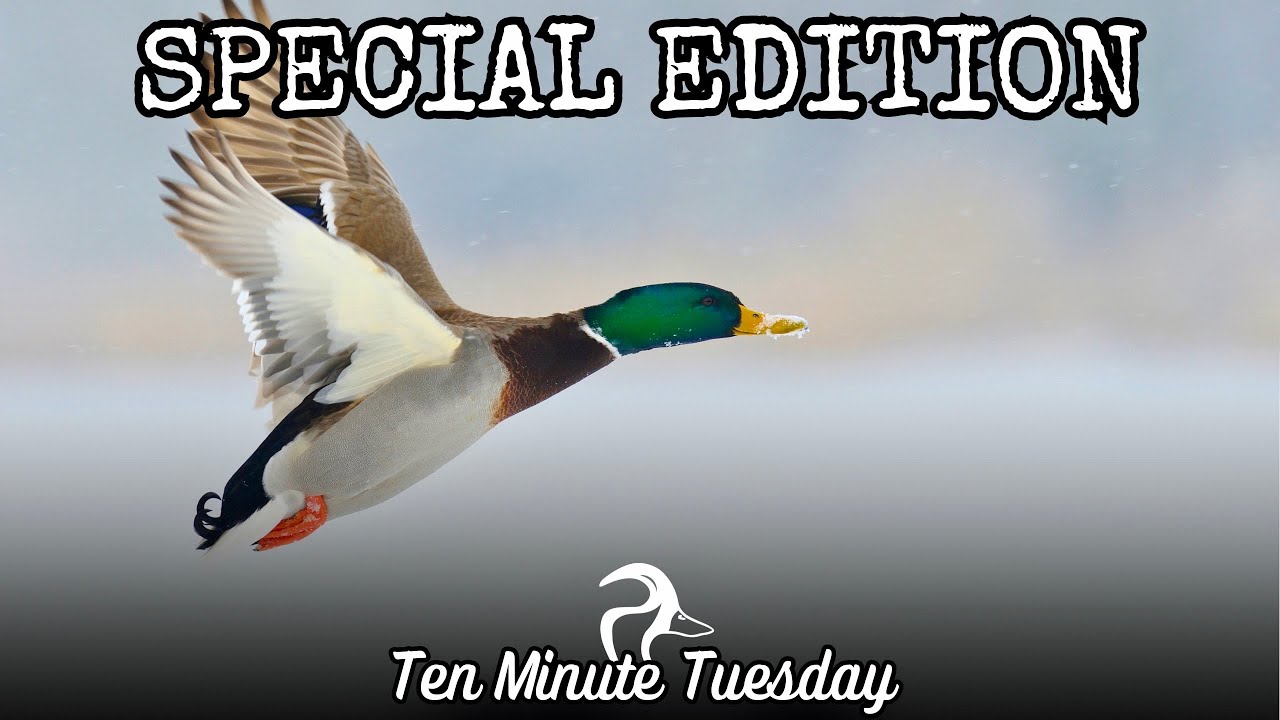 Say What; Special Edition - YouTube