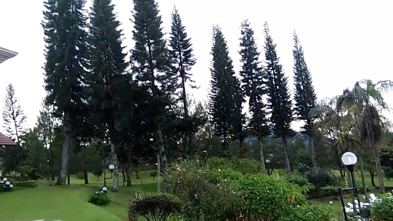 Hotel Sinabung Hills Berstagi - YouTube