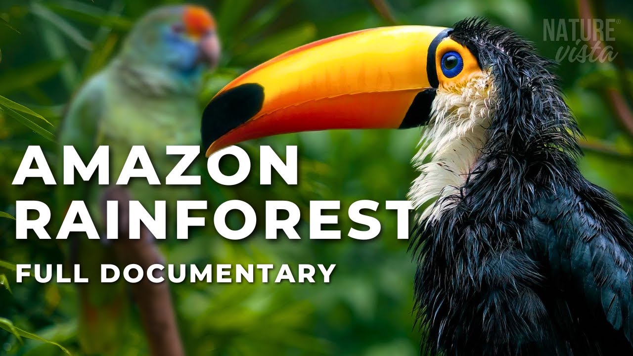 THE GREAT AMAZON | An Extraordinary Journey - Full Documentary - YouTube