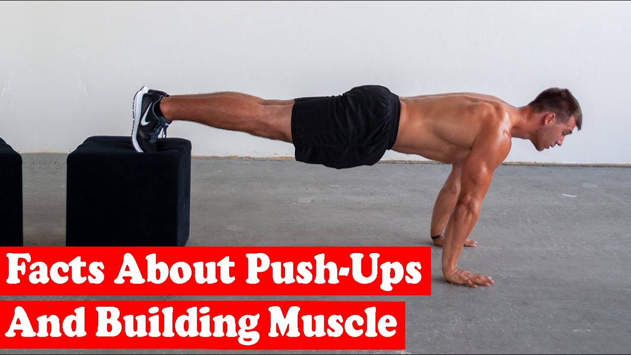 Facts About Push Ups and Building Muscle | How To Build Muscle With ...