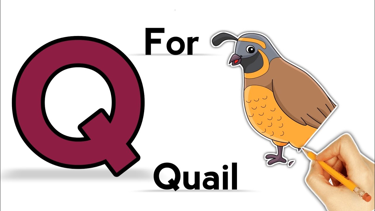 learning Alphabet Q | abc learning video | abc cartoon | Q for Queen,Q ...