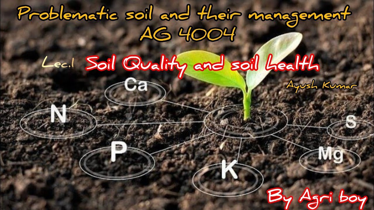 Soil Quality and soil health/ BSC ag. 4th sem Subject - Problematic ...