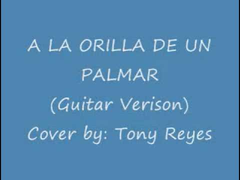 A LA ORILLA DE UN PALMAR (Acoustic Guitar) - YouTube