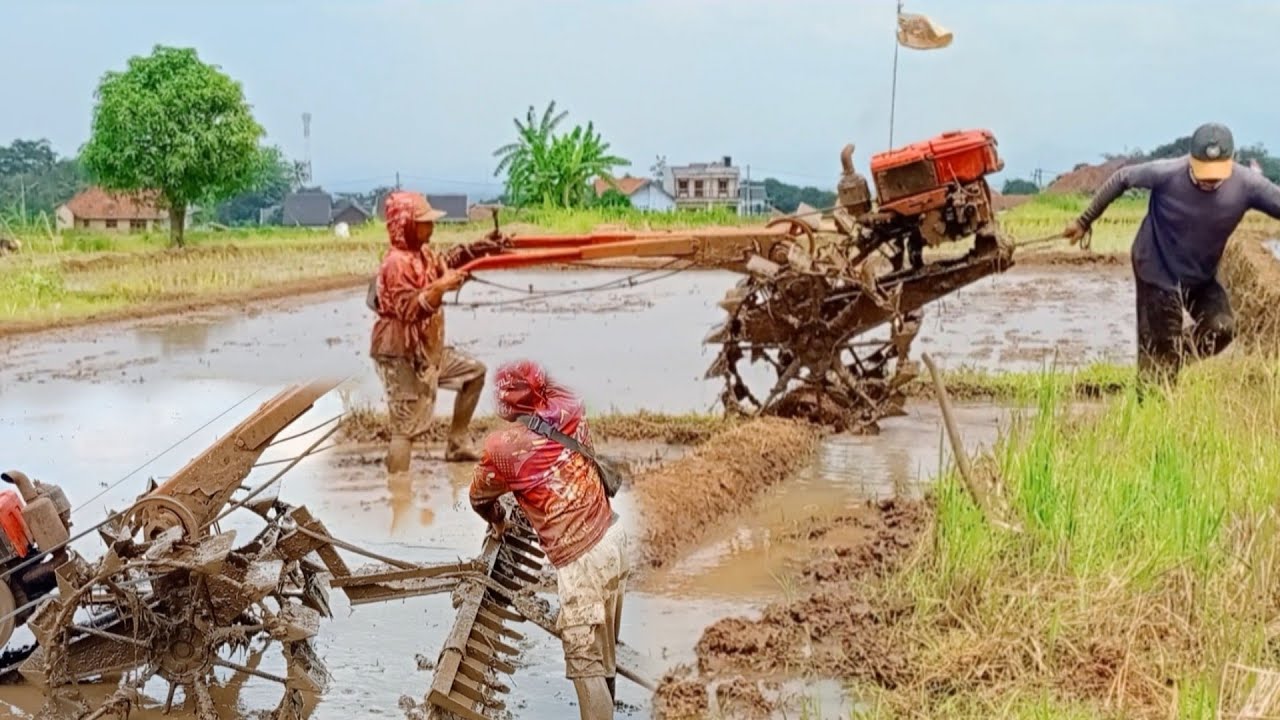 the process of jockey Sule leveling the land using a board || tractor ...