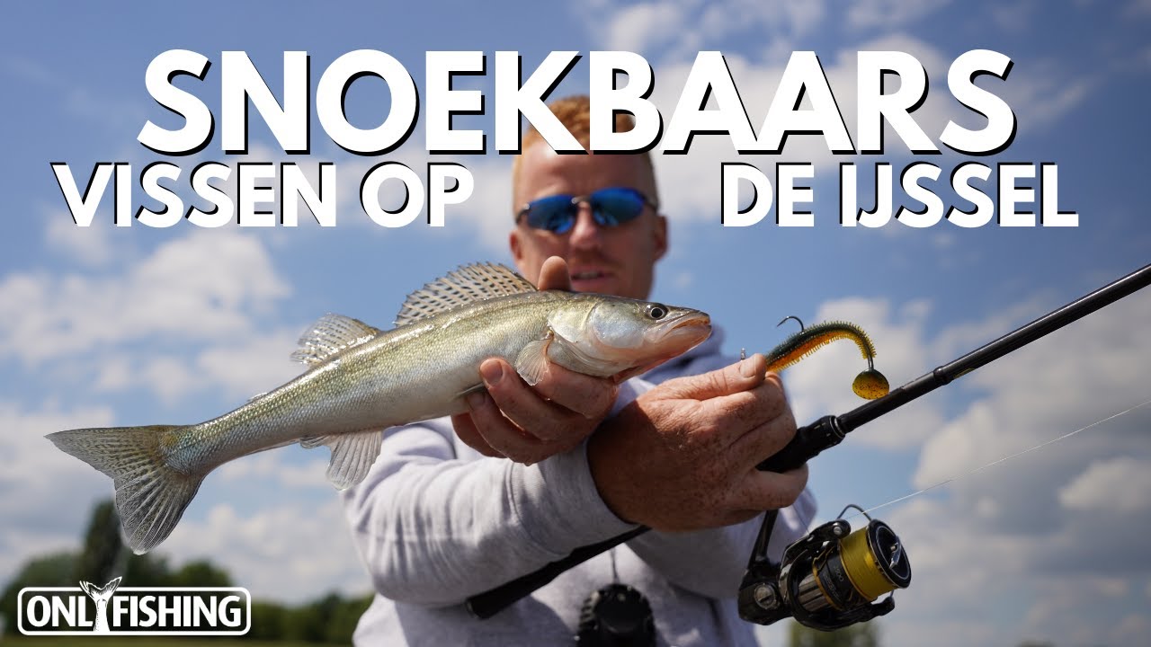 🎥 Succesvol snoekbaars vissen op de IJssel - Roofvissen met HJ - YouTube