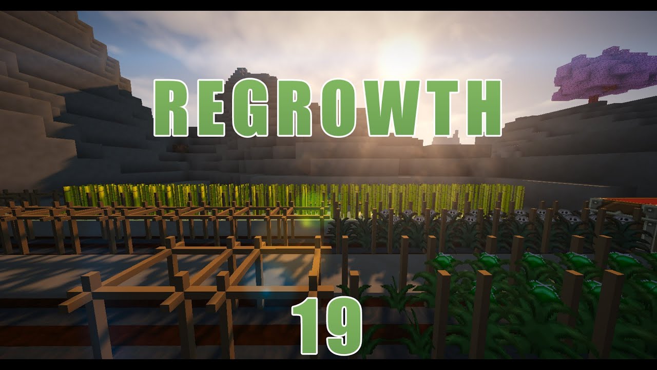 Minecraft Regrowth - #19 - Seed Upgrading - YouTube