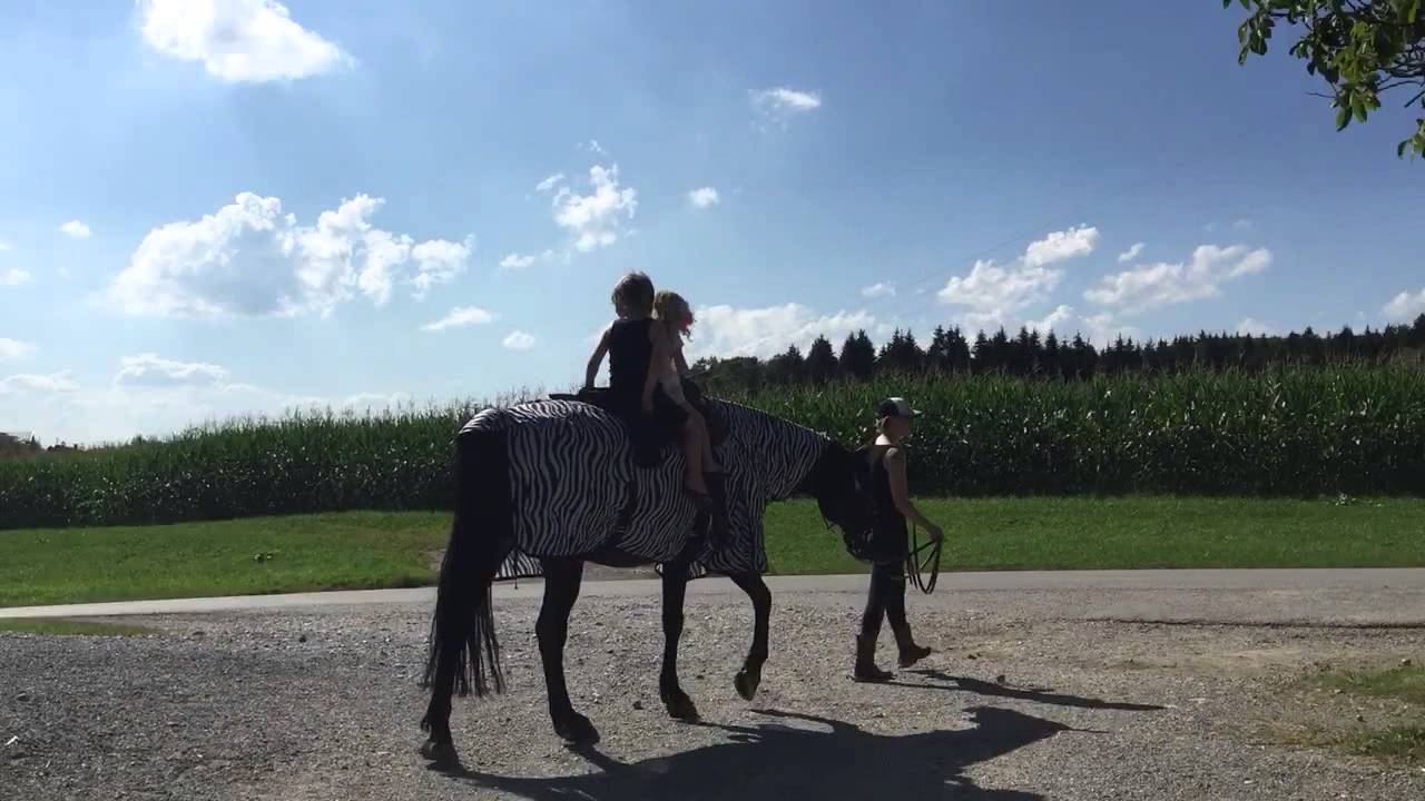 Germany 2015 - Riding a horse in Bavaria - YouTube
