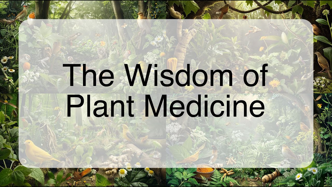 The Wisdom of Plant Medicine - YouTube