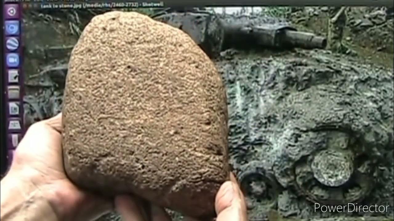 Roger Mudfossil University Youtube