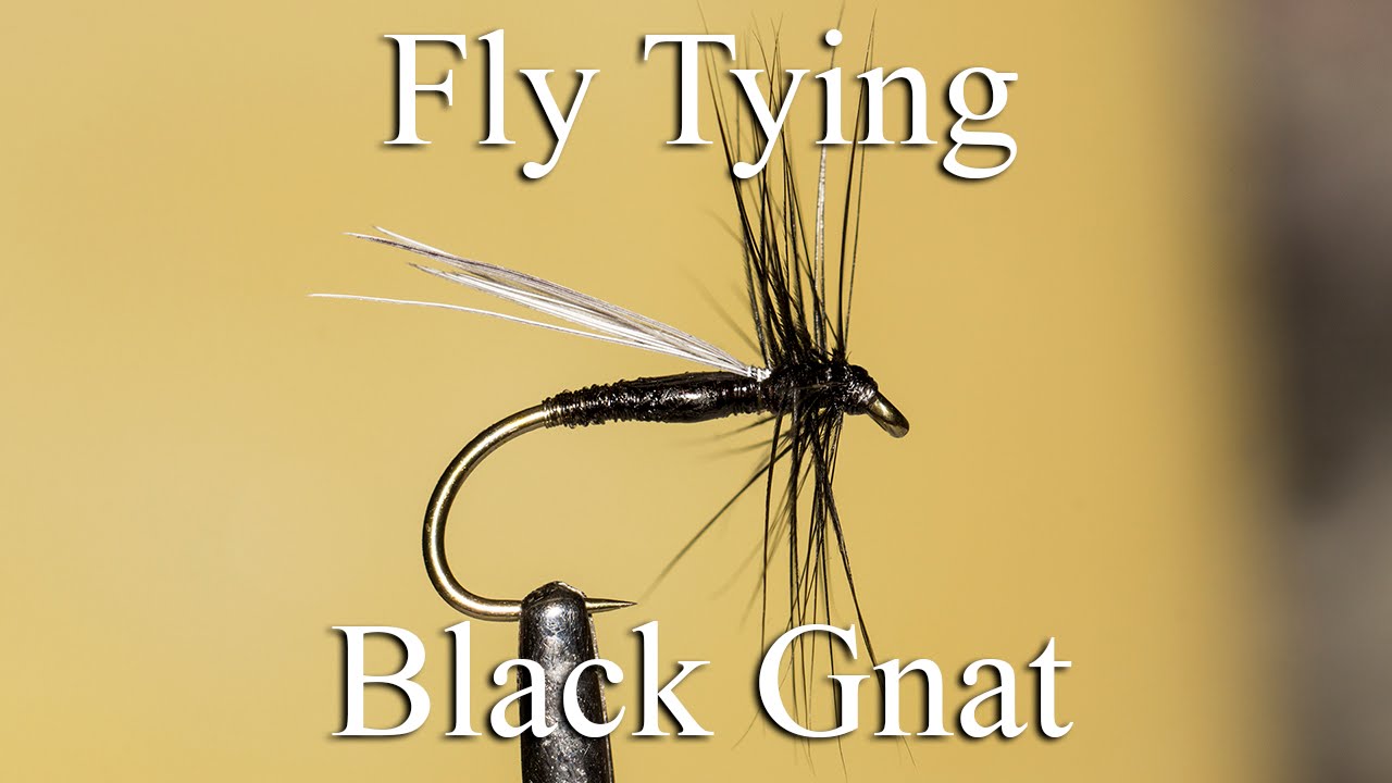 Fly Tying - Black Gnat - YouTube