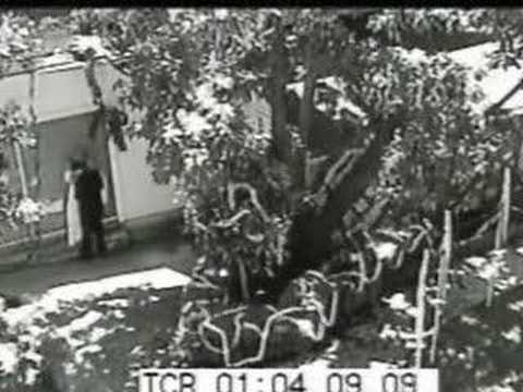 The Cheating Housewife