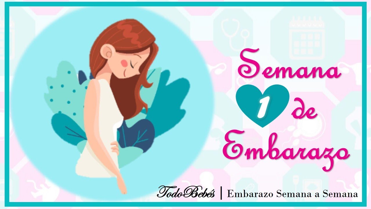 ️ SEMANA 1 DE EMBARAZO 🤰 ️ ⏩ EMBARAZO SEMANA A SEMANA ⏩ Desarrollo y ...
