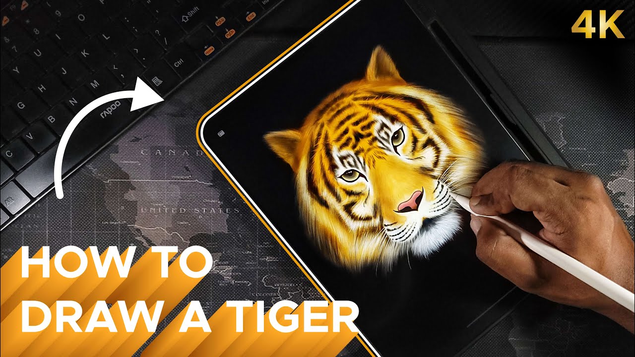 How to draw a tiger | Procreate tutorial on iPad Pro - YouTube