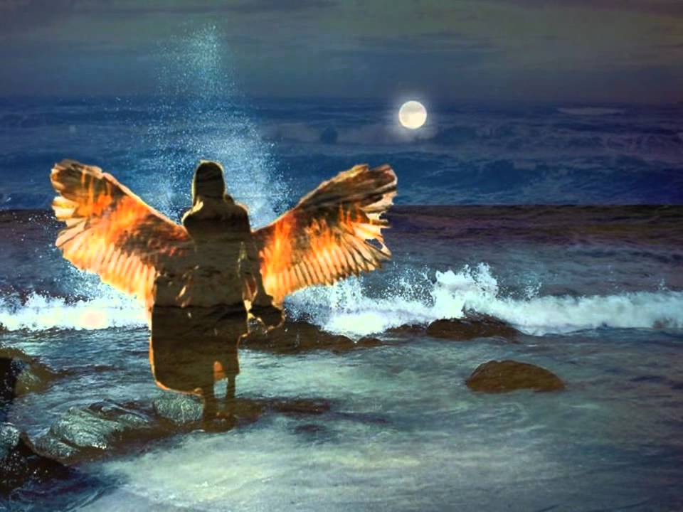 Ocean Angel VIII - YouTube