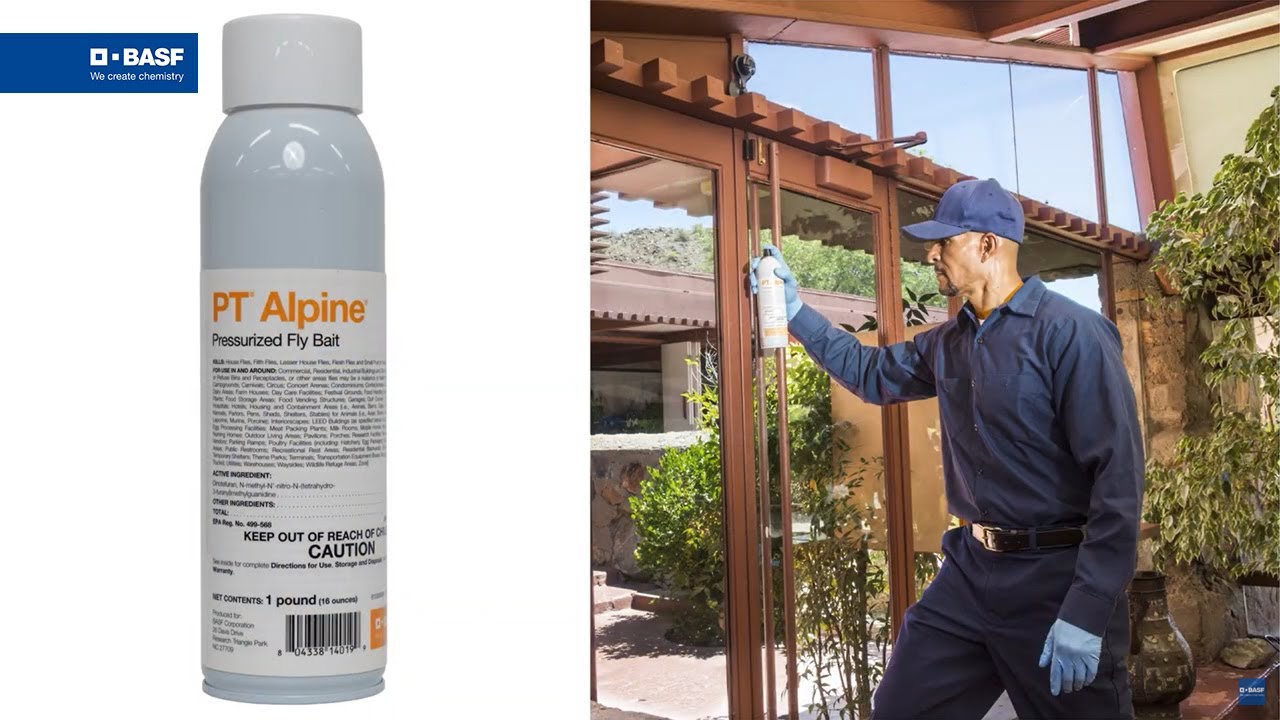 Tips on Applying PT® Alpine® Pressurized Fly Bait - YouTube