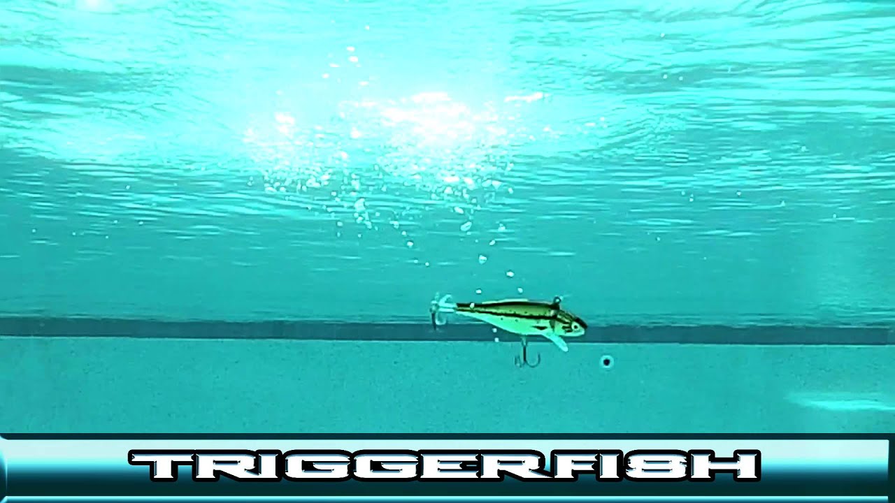 Techniques for Triggerfish, the steerable lure. - YouTube