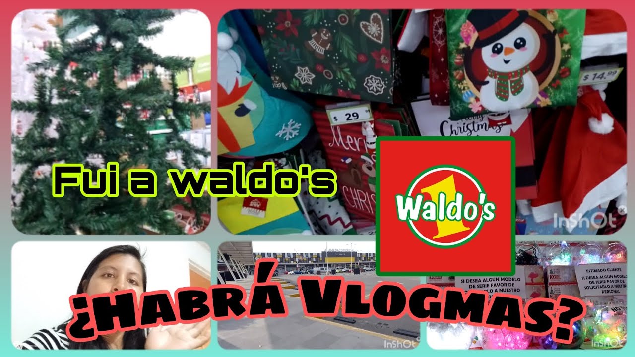 Buscando mi Arbolito de Navidad 🎄⛄|| ¿Habrá Vlogmas? 🤔 || Mini ...