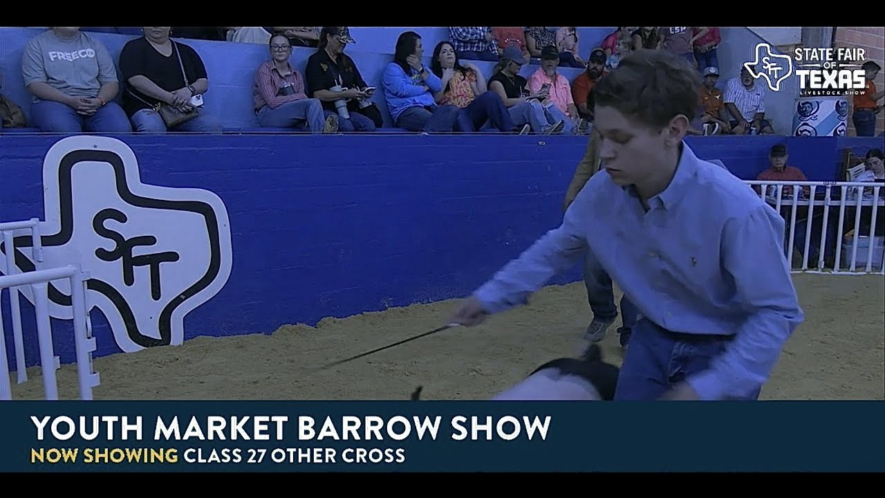 Harrison Doerr 2023 Texas State Fair Market Barrow Show Other Cross ...