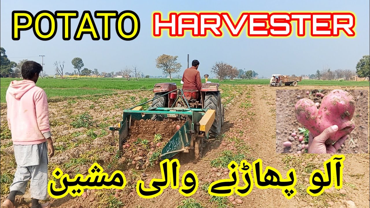 Potato Harvesting Machine in Punjab Pakistan / Patato Cultivator or ...