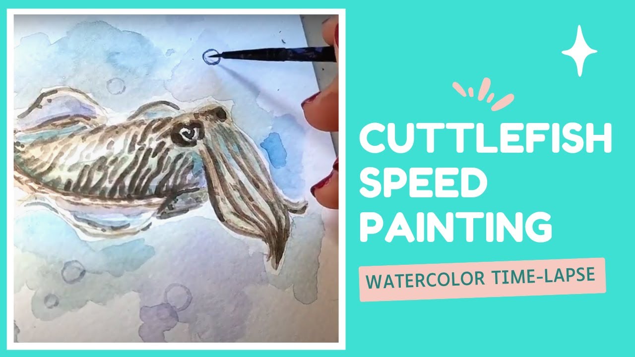 Cuttlefish Speed Painting- Watercolor Time-Lapse - YouTube