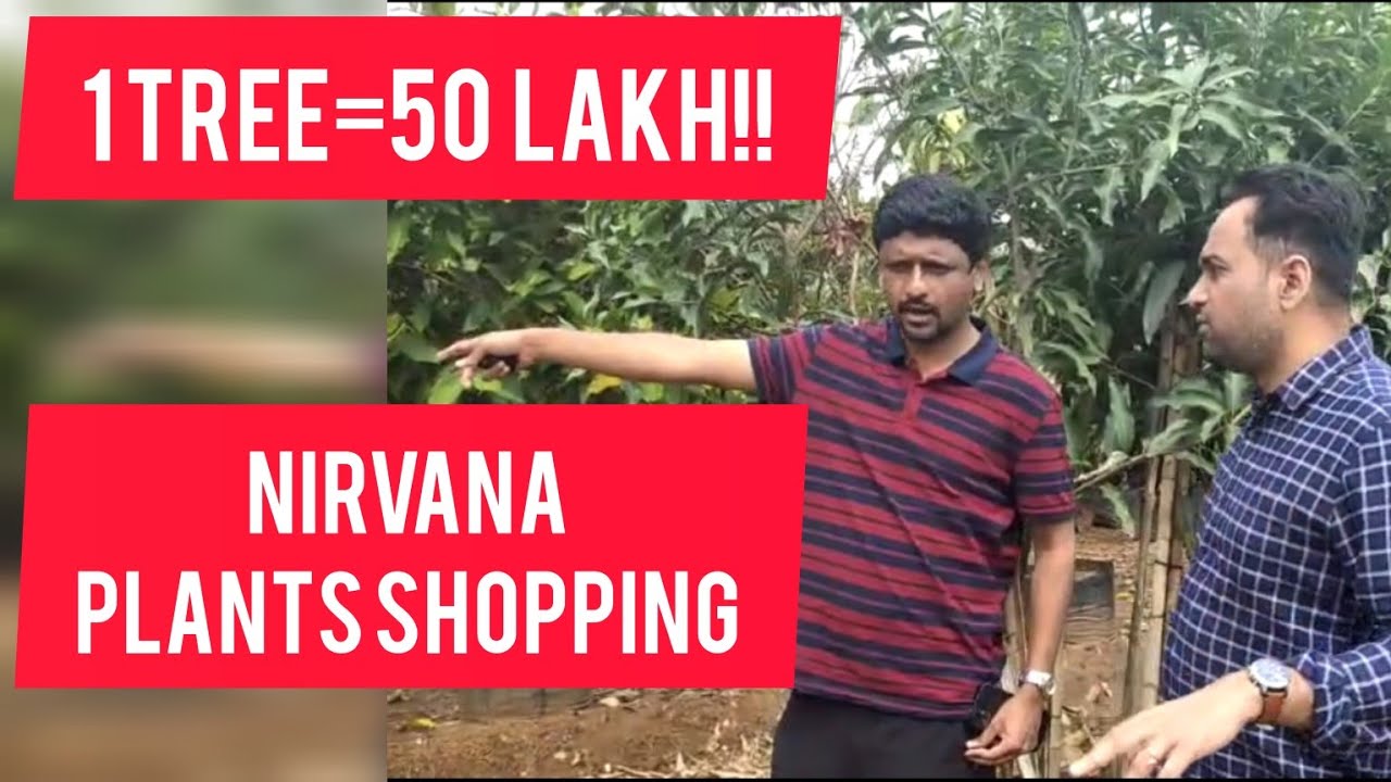 NIRVANA Farm Houses Plants Shopping - YouTube