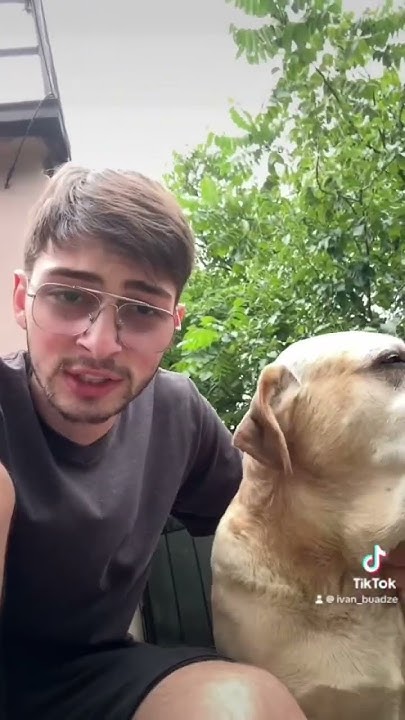 როგორ გავრეცხოთ და გავაშროთ ძაღლი სწორად 🤣 Youtube
