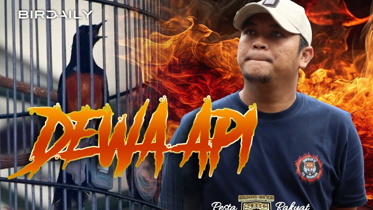 AKSI DEWA API SEMAKIN MEMBARA - MURAI BATU MASA KINI PUKULAN MATERI DAN ...