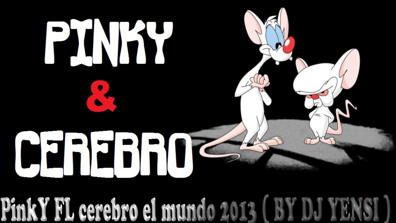Pinky y Cerebro - conquistar el mundo ( prod : DJ Yensi ) - YouTube