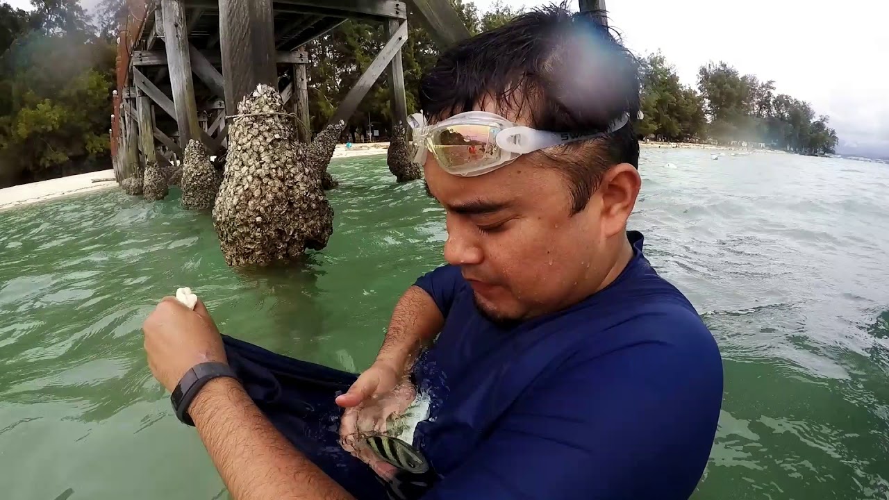 Manukan & Mamutik Island Sabah Sea by Midy Bidin - YouTube