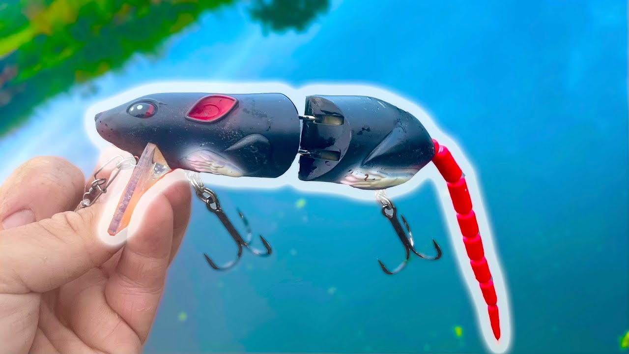 Topwater fishing with a MASSIVE Rat Lure! Spro BBZ-1 - YouTube