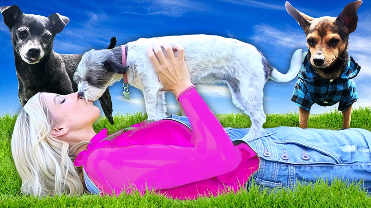 Making our Dogs Jealous by Hugging other Dogs for the First Time ...