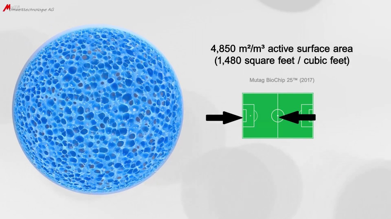 Mutag BioChip presentation and diffusion - YouTube