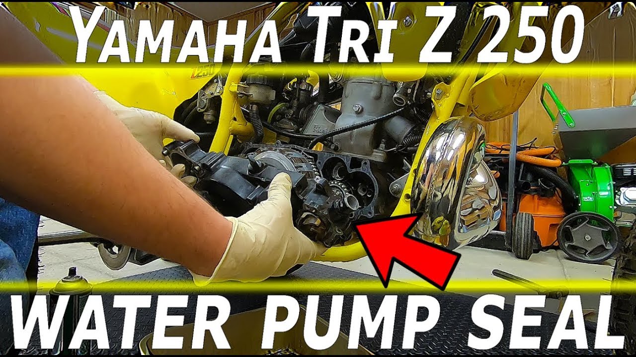 tri z 250 water pump seal replacement - YouTube