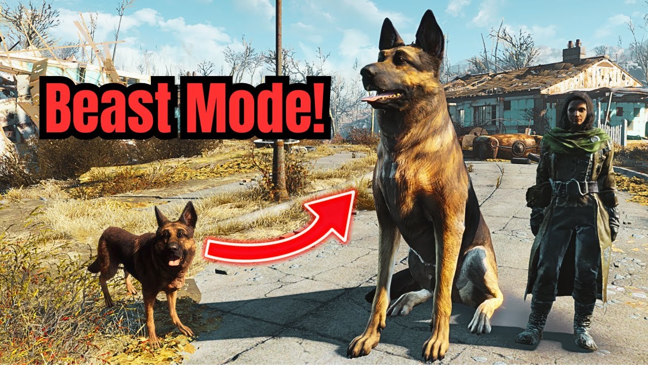 All You Need To Know About DOGMEAT To Make Him a BEAST! - Fallout 4 ...