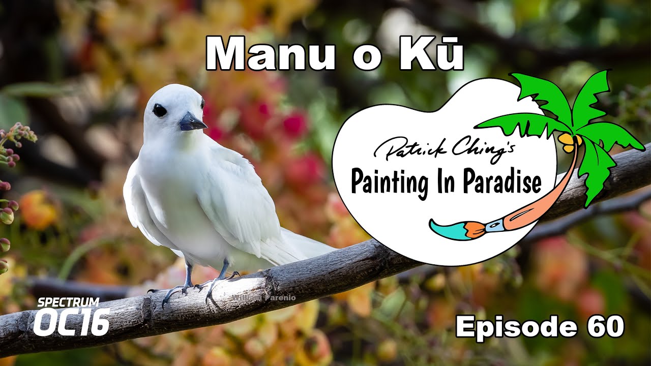 Manu-o-Kū Episode 60 Painting In Paradise - YouTube