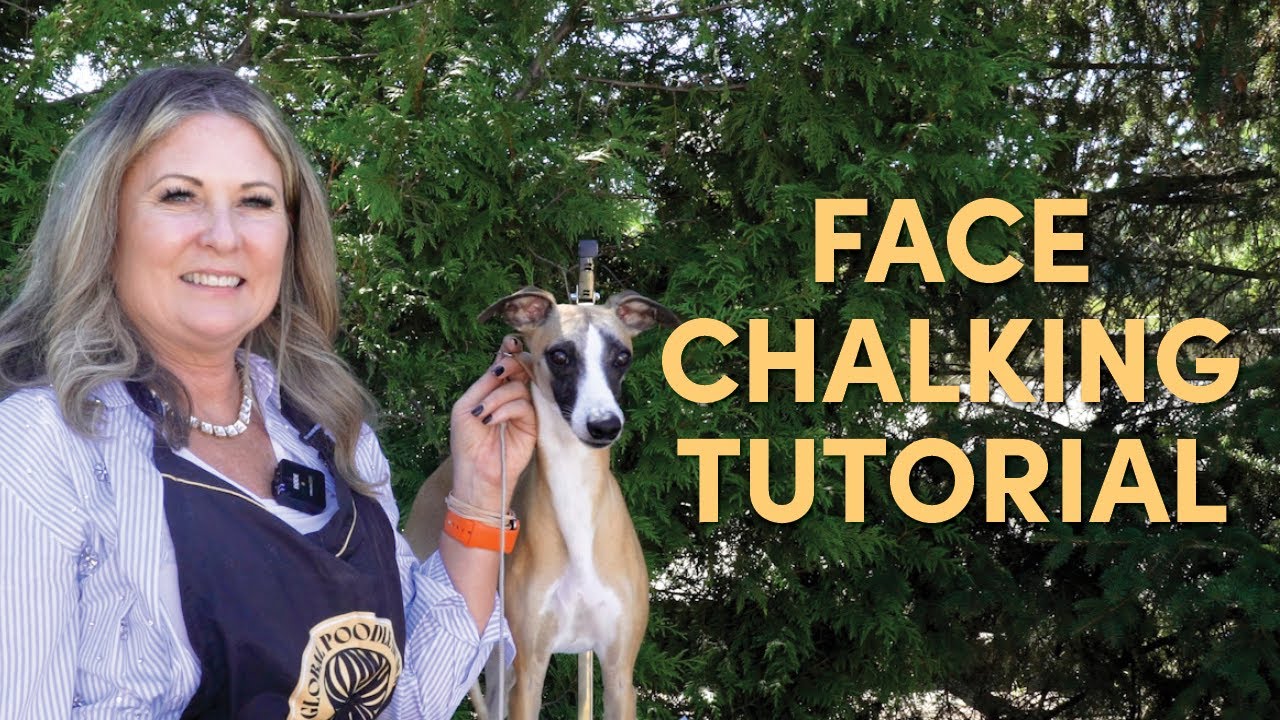 How to Chalk Your Dog’s Face - Show Grooming Tutorial - YouTube